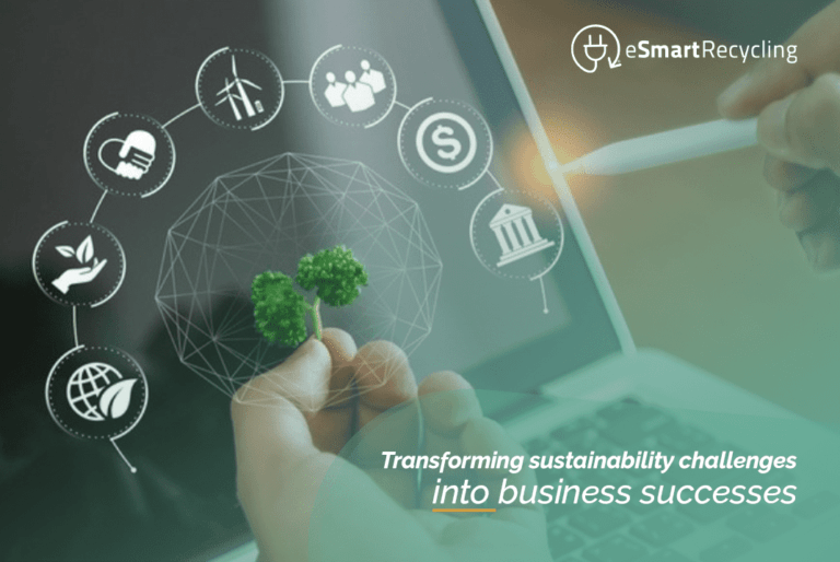 Transforming sustainability challenges into business successes ...