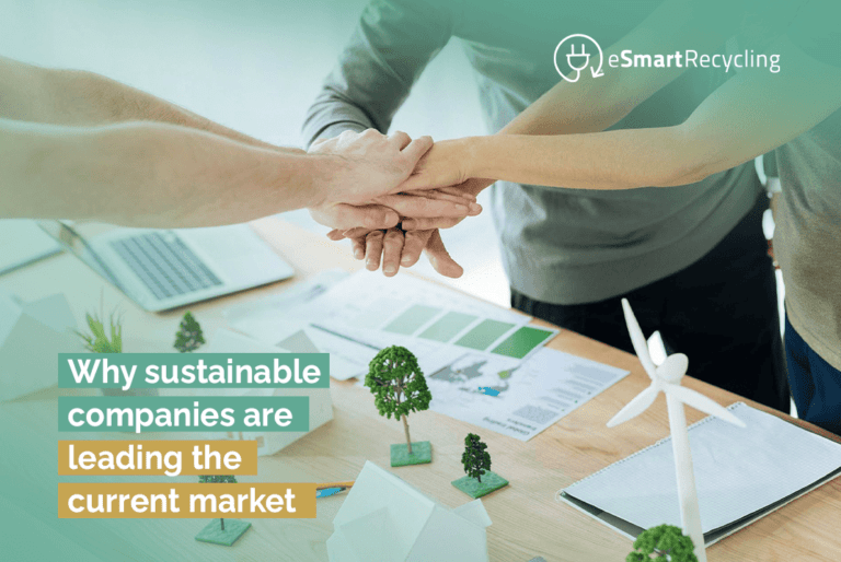 Why Sustainable Companies Are Leading the Current Market ...